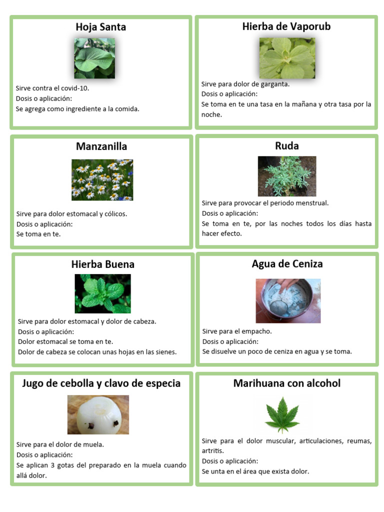 Plantas Medicinales | PDF | Té | Medicina CLINICA
