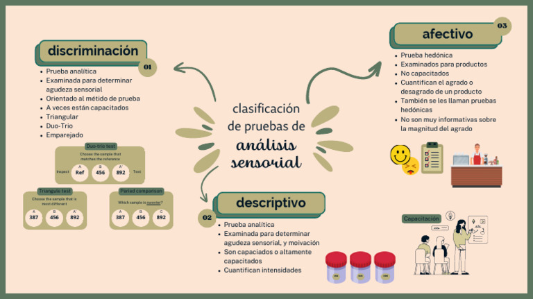Clasificación de Pruebas de Análisis Sensorial | PDF Clasificación de Pruebas de Análisis Sensorial | PDF