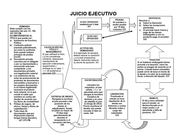 Esquema Juicio Ejecutivo Comun | PDF