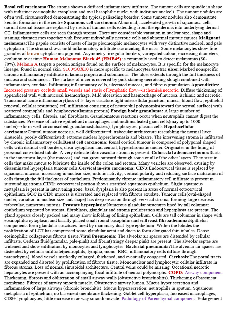 Histopathology Prac Exam Sheet | PDF