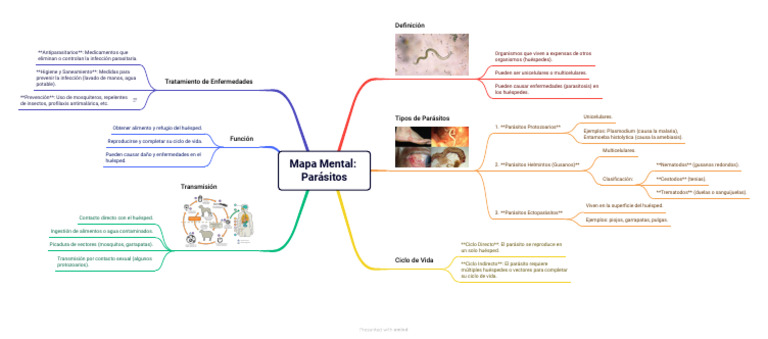 Mapa Mental Parásitos | PDF | Parasitismo | Epidemiología