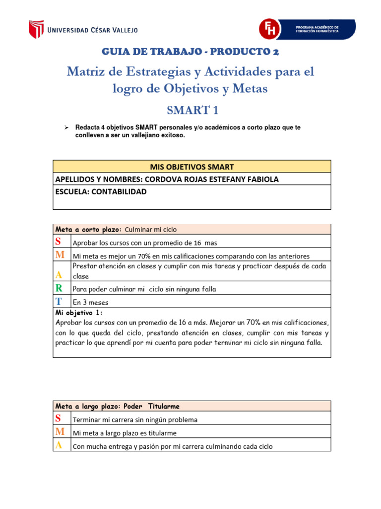Matriz Smart | PDF