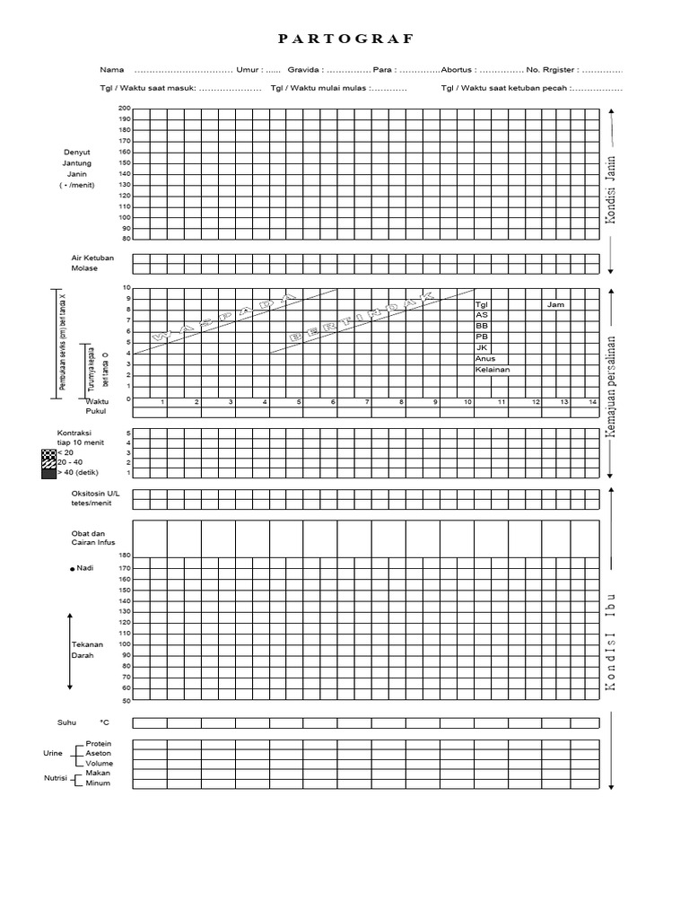 PARTOGRAF | PDF