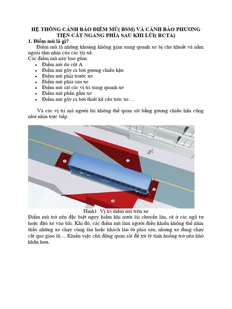 BSM+ Rcta Dũng - Đ T | PDF