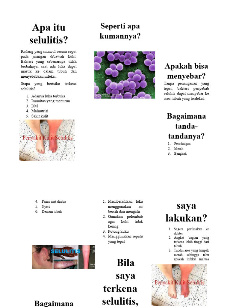Leaflet Selulitis Nurul Aryani | PDF