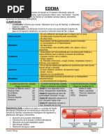 Signo Fovea o Godet Recopilación | PDF