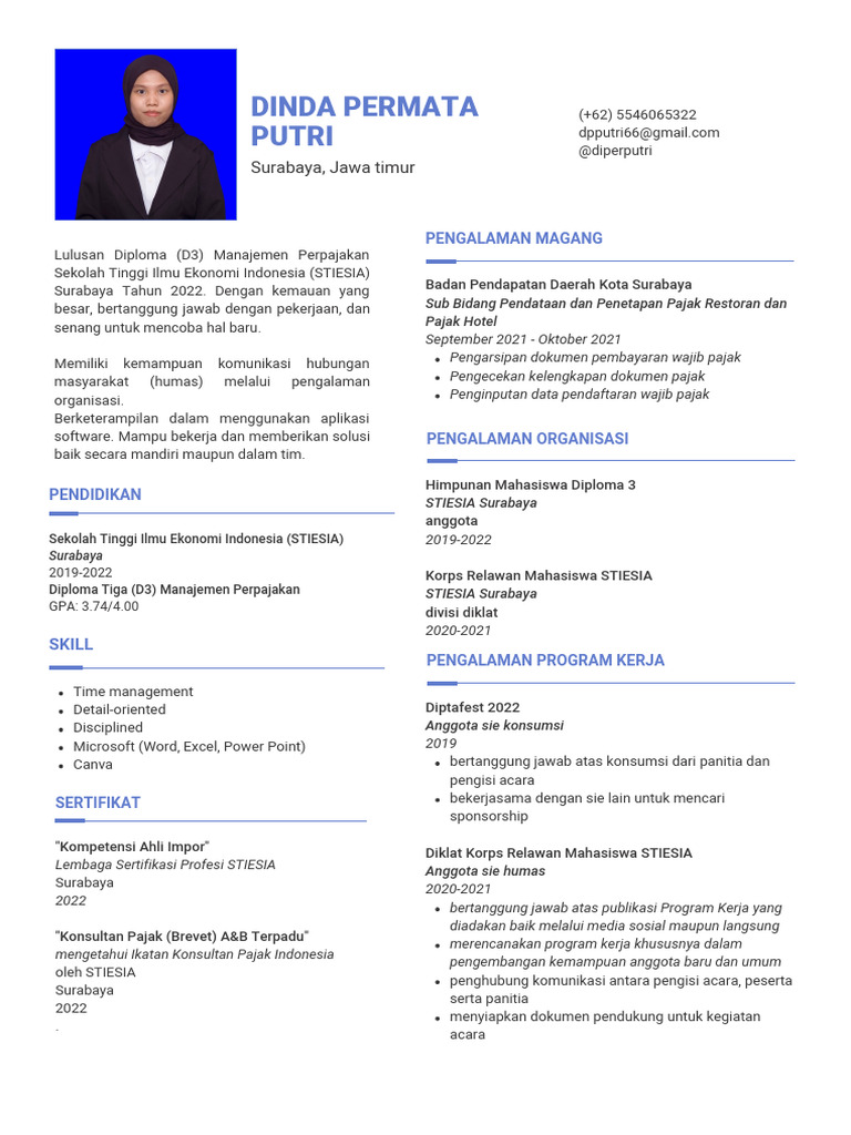 CV Dinda Permata Putri-1 | PDF | Bisnis | Seni
