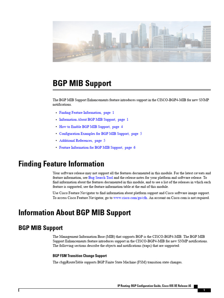 BGP Mib Support | PDF | Internet Architecture | Network Layer Protocols