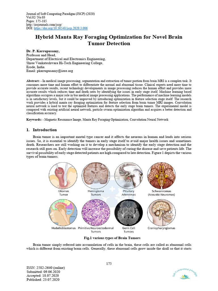 Hybrid Manta Ray Foraging Optimization For Novel Brain Tumor Detection | PDF | Computers