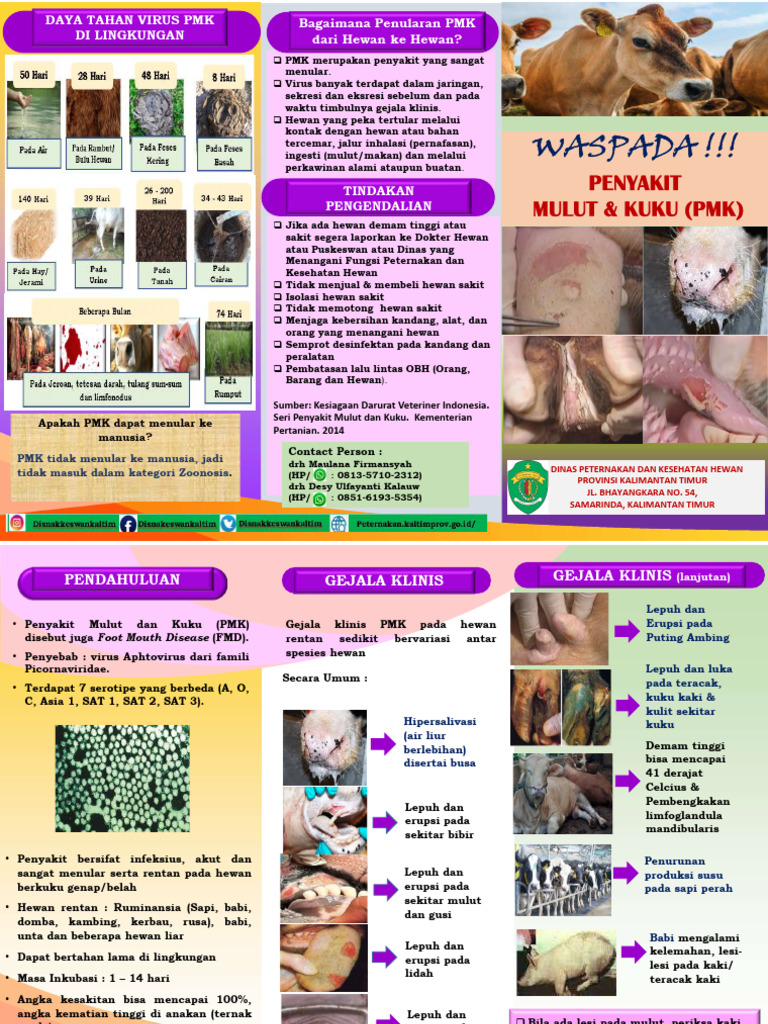 Leaflet PMK - Desy - P3H | PDF