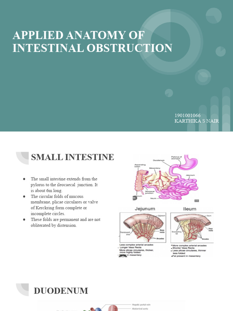 Applied Anatomy of Intestinal Obstruction | PDF