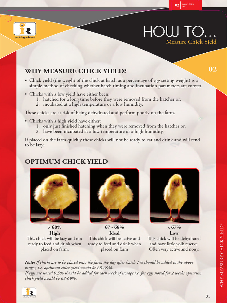 IR How To 2 Measure Chick Yield | Download Free PDF | Birds | Ornithology