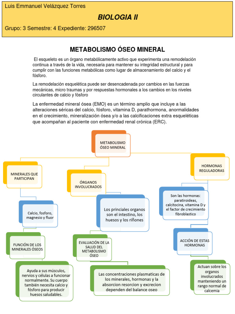 METABOLISMO ÓSEO MINERAL | PDF