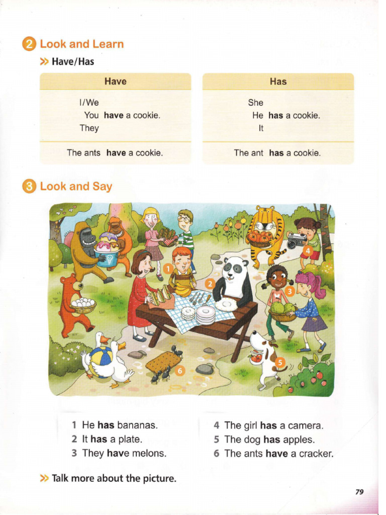 Have Has | PDF
