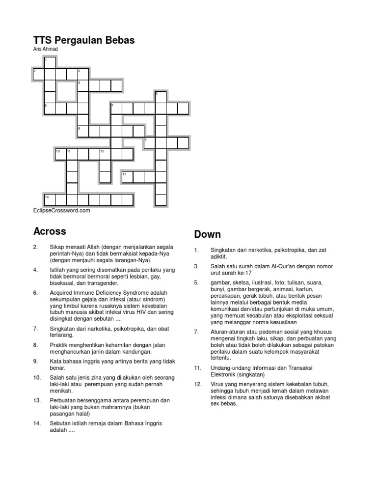 TTS Pergaulan Bebas - 2 | PDF