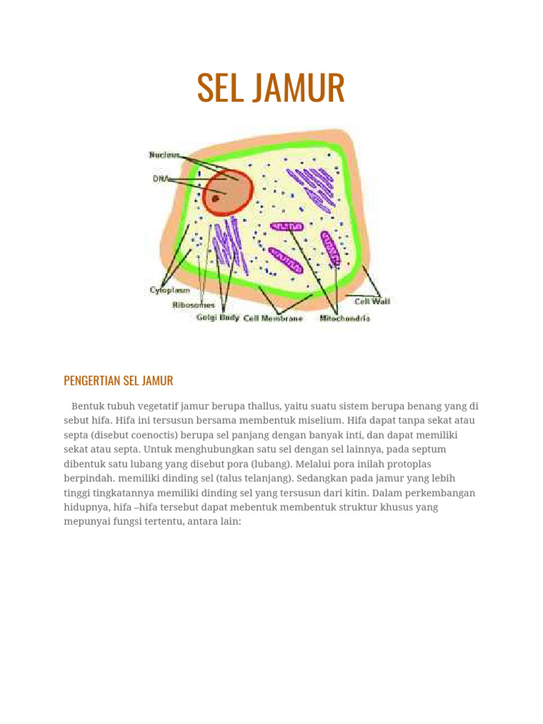 Sel Jamur | PDF