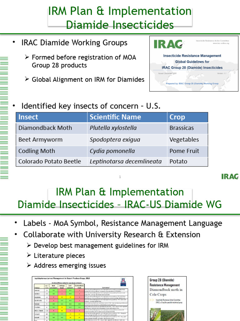 IRM PLND | PDF