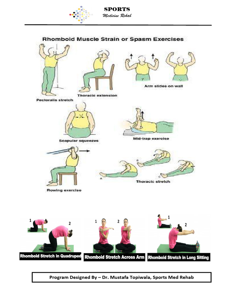 Rhomboid Strengthening & Stretching Guide | PDF | Wellness