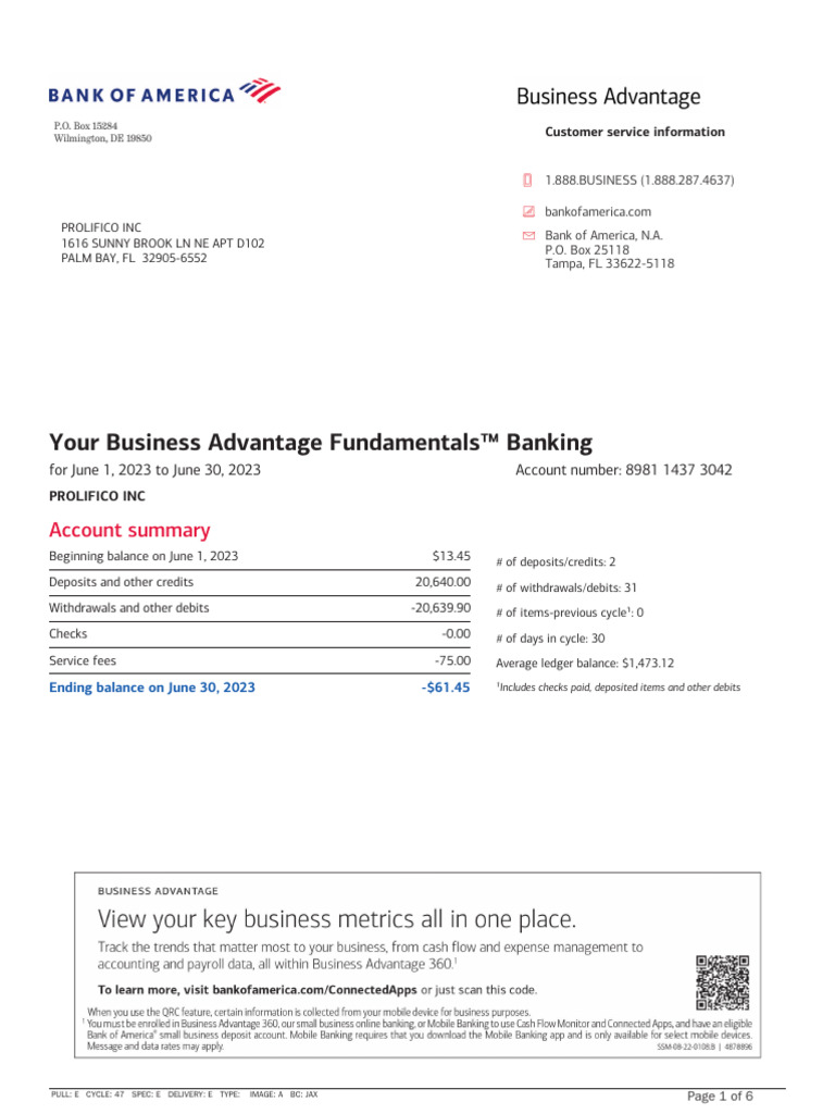 Your Business Advantage Fundamentals™ Banking: Account Summary | PDF ...