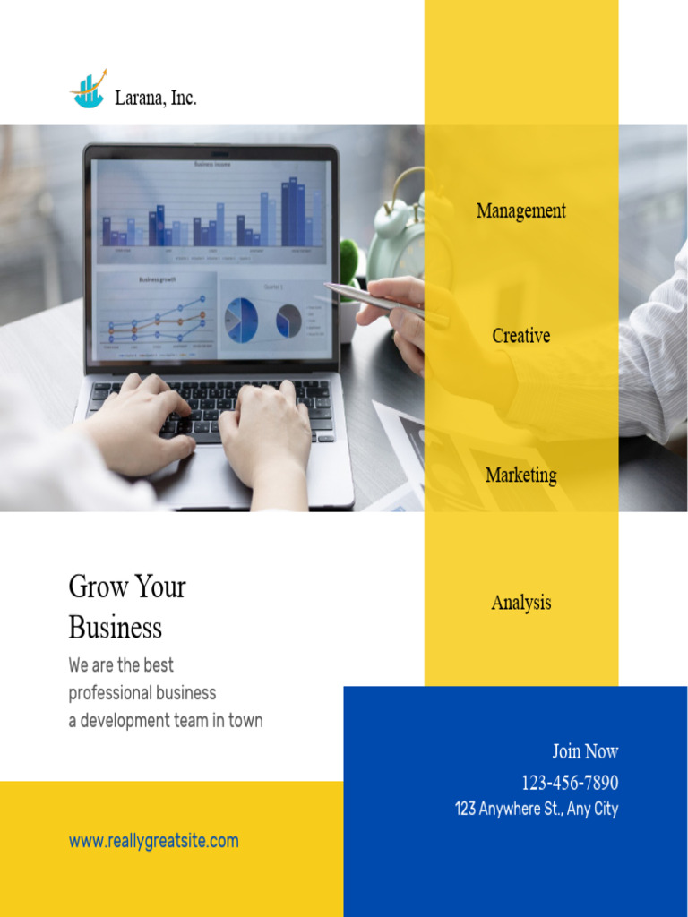 Larana, Inc. Business Development Services | PDF | Business