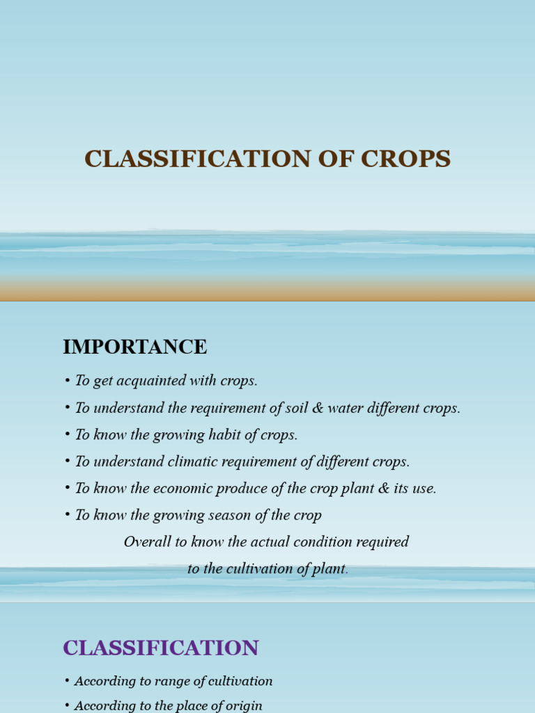 5 - Classification - Complete | PDF