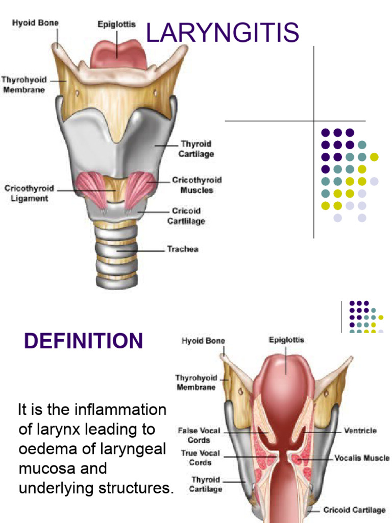 Laryngitis | PDF | Cough | Epidemiology