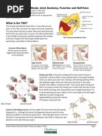 Rocabado 6x6 TMJ Exercise Guide | PDF | Anatomical Terms Of Motion ...