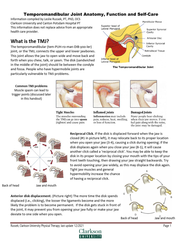 Russek Clarkson University TMD Handout | PDF | Clinical Medicine ...