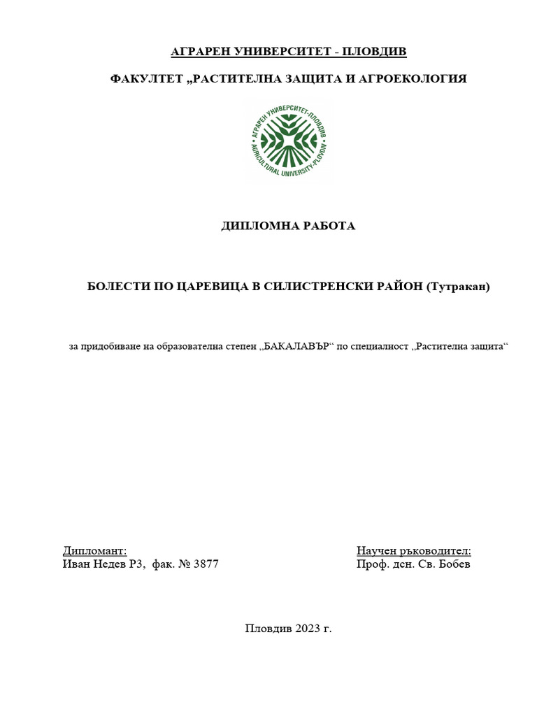 Ivan Nedev Diplomna - 2023 официално | PDF