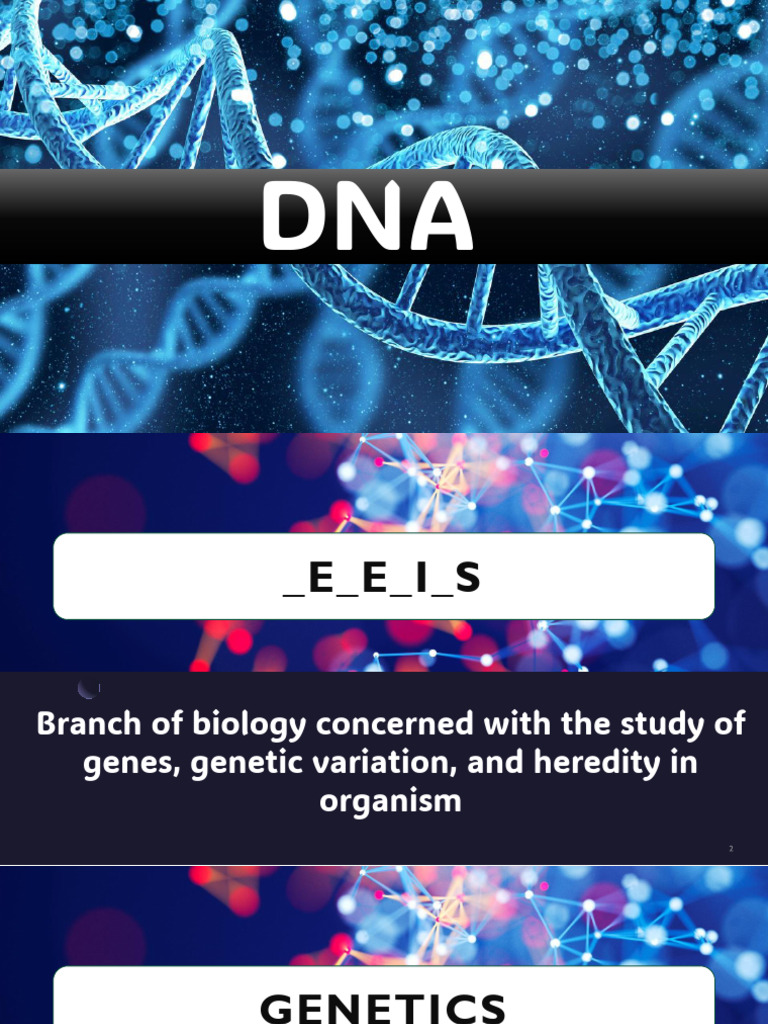 DNA Components | PDF | Genetics | Dna