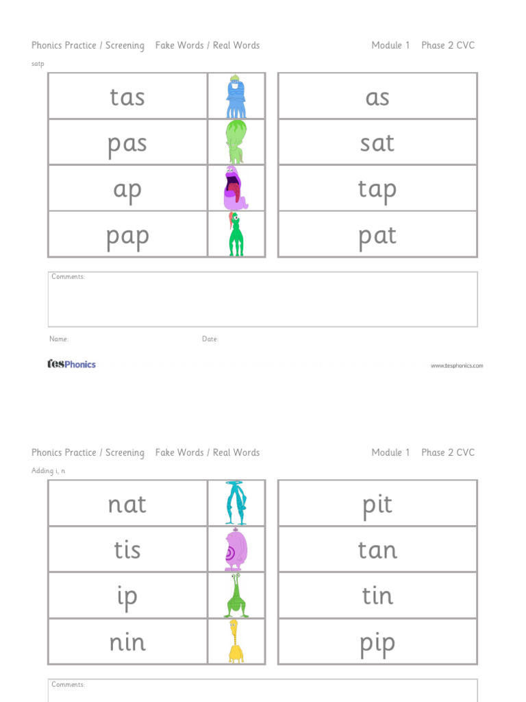 Module 1 Fake Real Cards Phase 2 CVC | PDF