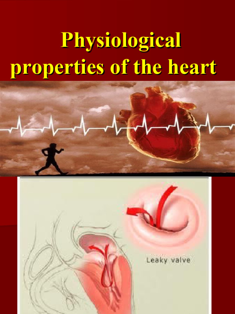 CVS Lecture Note | PDF
