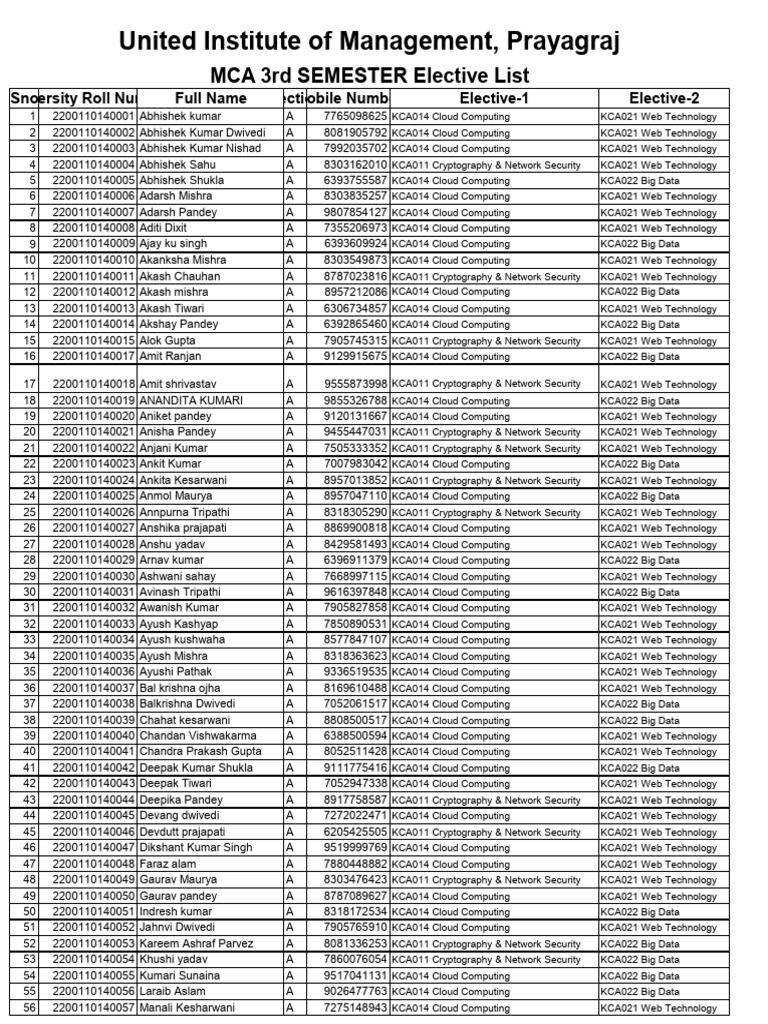 Elective 1 and 2 Final | PDF