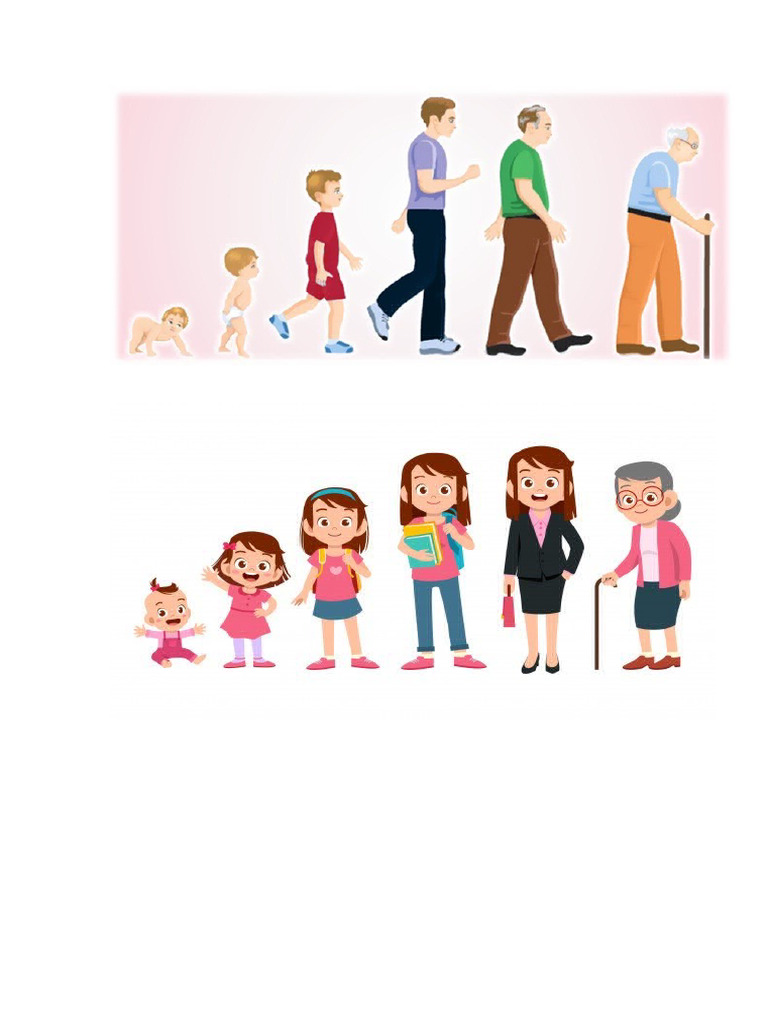 Etapas Del Desarrollo Humano | PDF