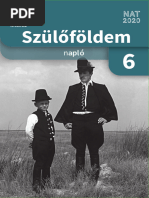 Vonalas Lap | PDF