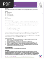 EXPERIMENTO TINTA INVISIBLE CON CURCUMA_20250203_094212_0000 | PDF ...