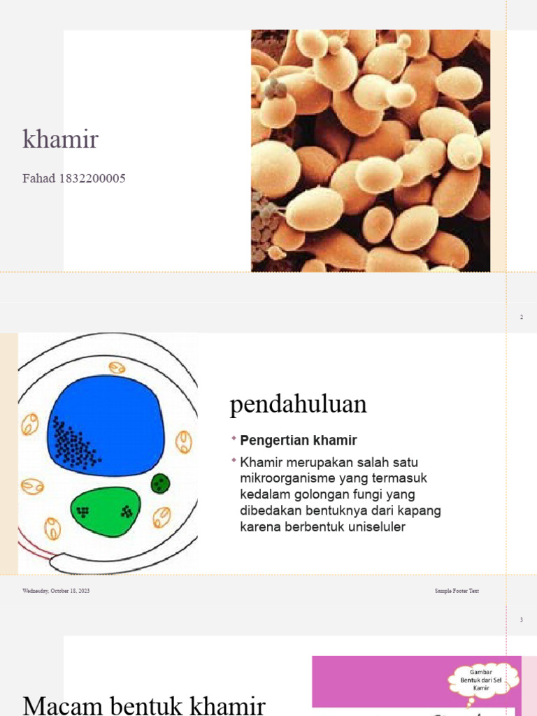 Khamir | PDF