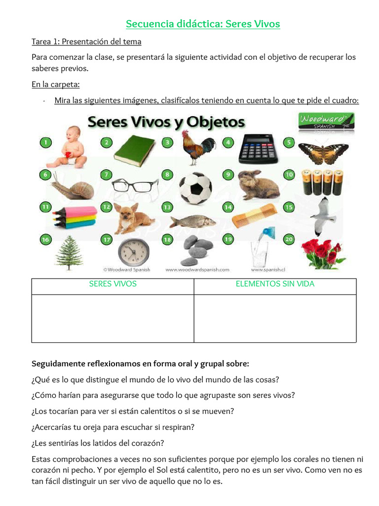 Seres Vivos y Elementos Sin Vida | PDF | Ecosistema | Plantas
