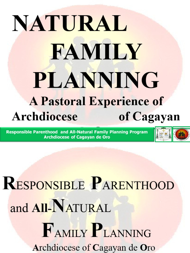 2 How and Who of NFP Implementation | PDF