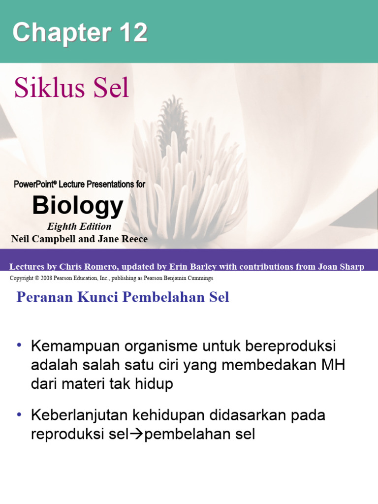 Chapter 12 The Cell Cycle | PDF