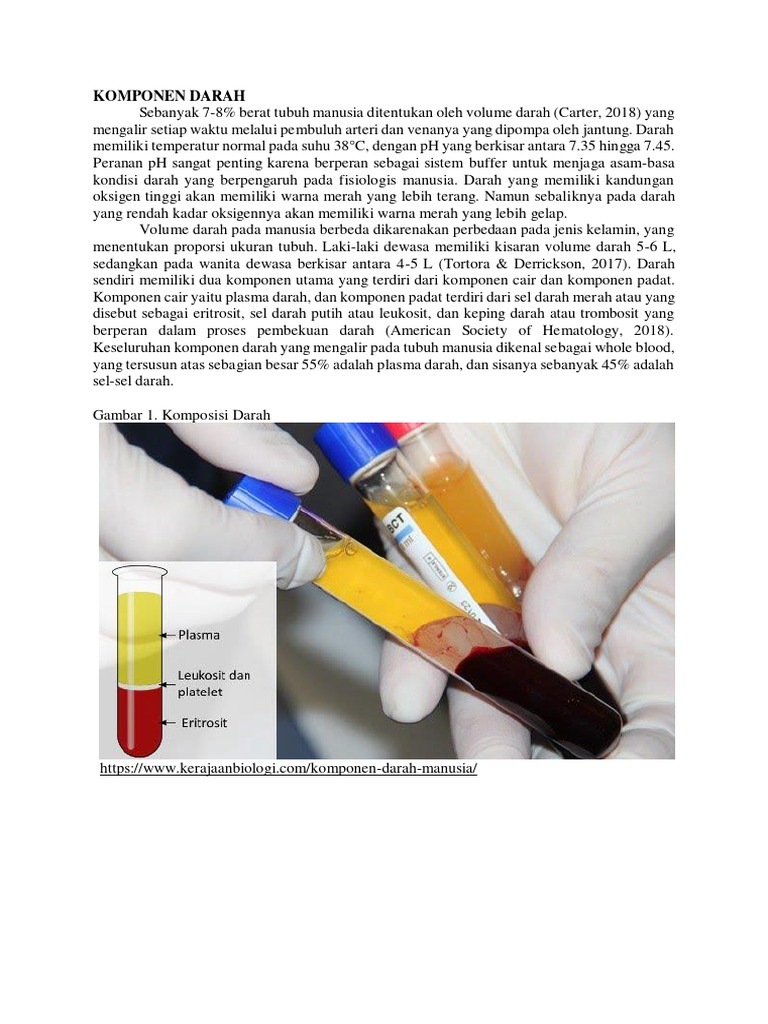 hematologi 4 KOMPONEN DARAH | PDF