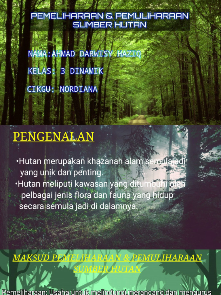 Geografi Sumber Hutan | PDF