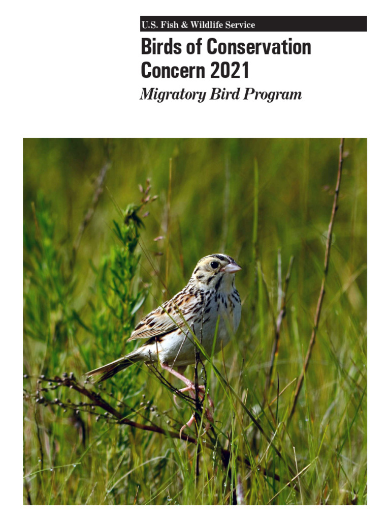 Birds of Conservation Concern 2021 | PDF | United States Fish And ...