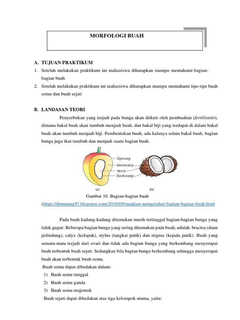 Morfologi Buah dan Jenisnya | PDF | Kesehatan Holistik | Sains & Matematika