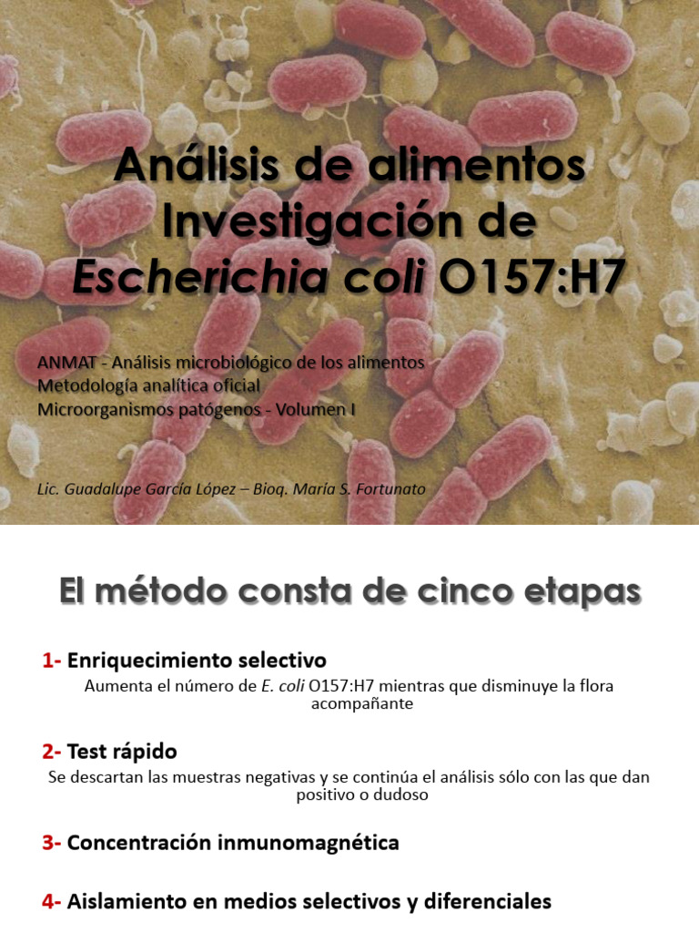 E. Coli O157 2022 | PDF | Escherichia coli | Microbiología