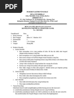 RPL BK - KONSELING INDIVIDU | PDF