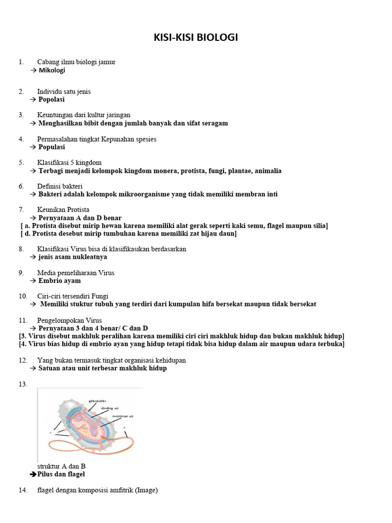 Kisi-Kisi Pai Dan Bio Kelas 10 | PDF | Ilmu Sosial