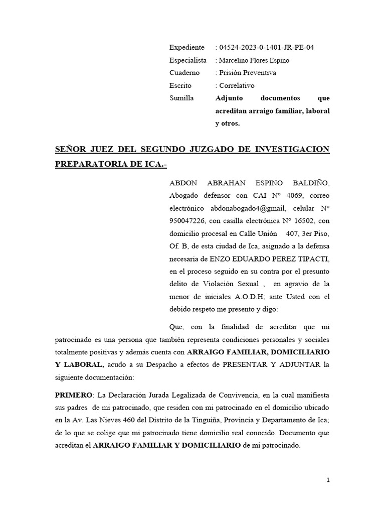 Adjunto Documentos | PDF