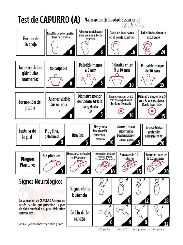 Test de Capurro | PDF