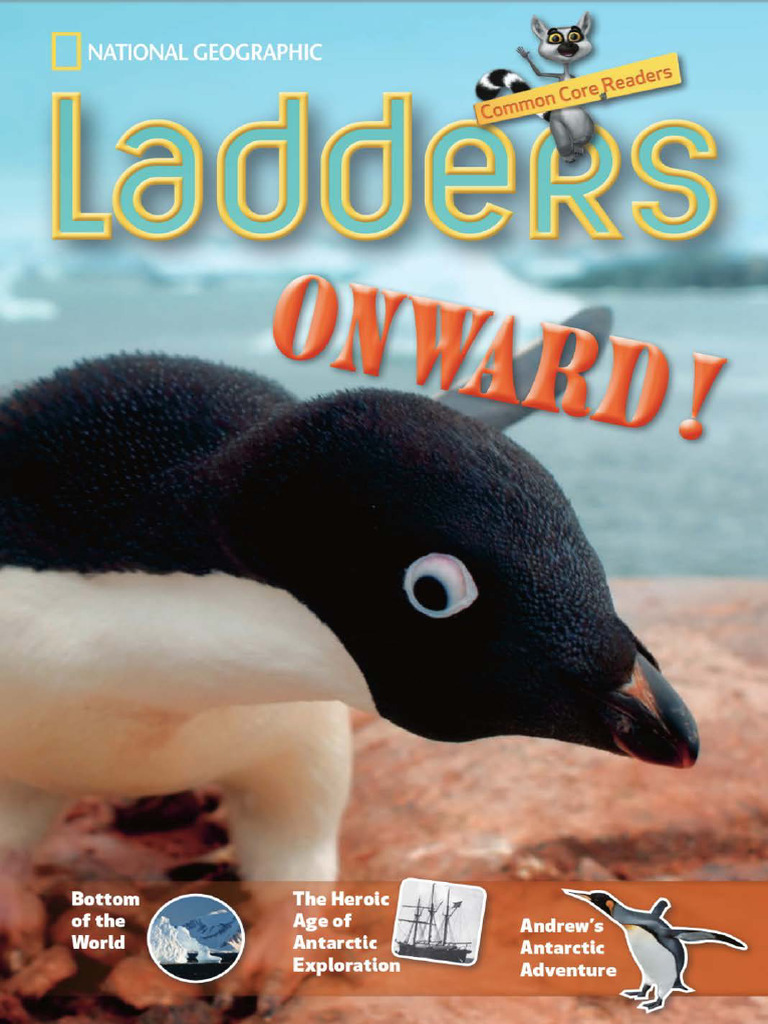 Basico 4 Ladders Onward | PDF